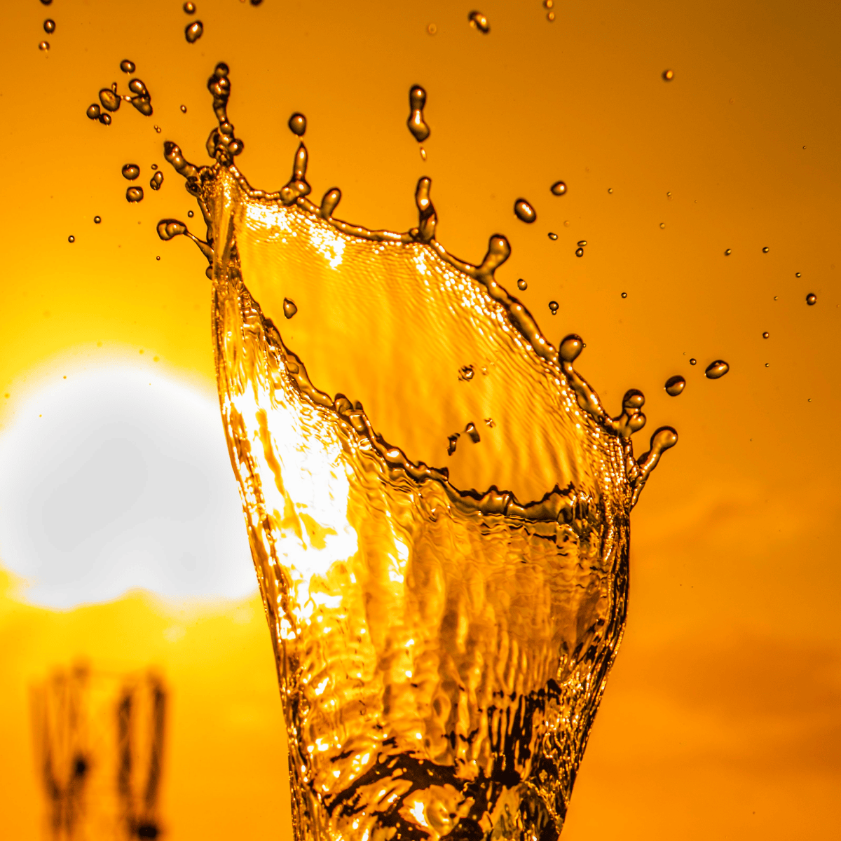 Nosotros - Dismon Dispenser